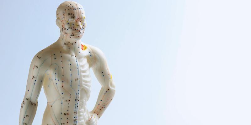 Acupunctuur | Fysiotherapie Bezuidenhout Den Haag